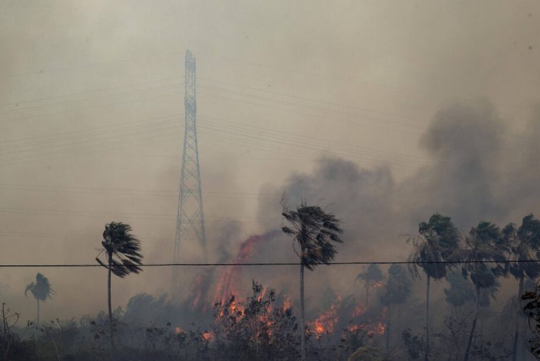 Atípico, fogo no pantanal em novembro assusta e cerca moradores em meio ...