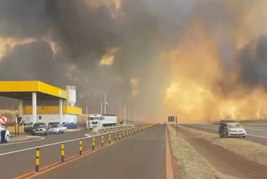 Semana de queimadas teve saltos de 338% em SP e 236% em MT nos ...